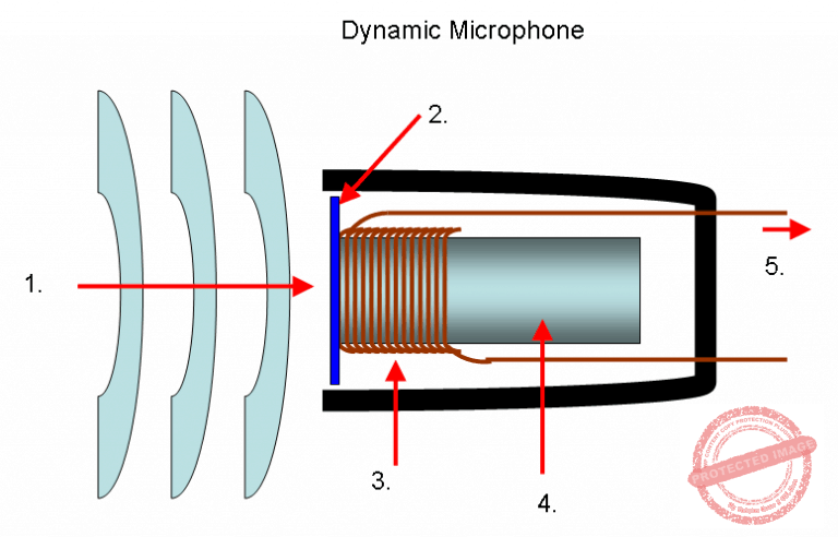 What’s the Difference Between Dynamic and Condenser Microphones ...