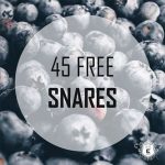 2,055 Best Free Snare Sample Packs & Loops 2024 – Musicians HQ